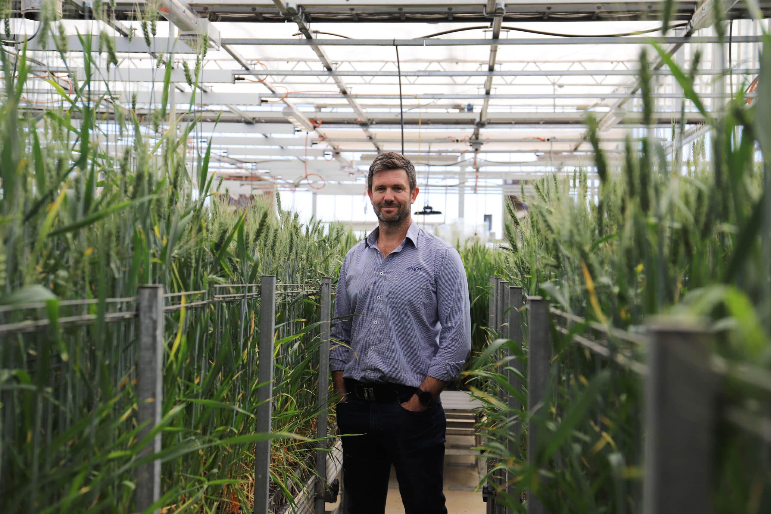 New homegrown varieties for AGT 2023 - Variety Central